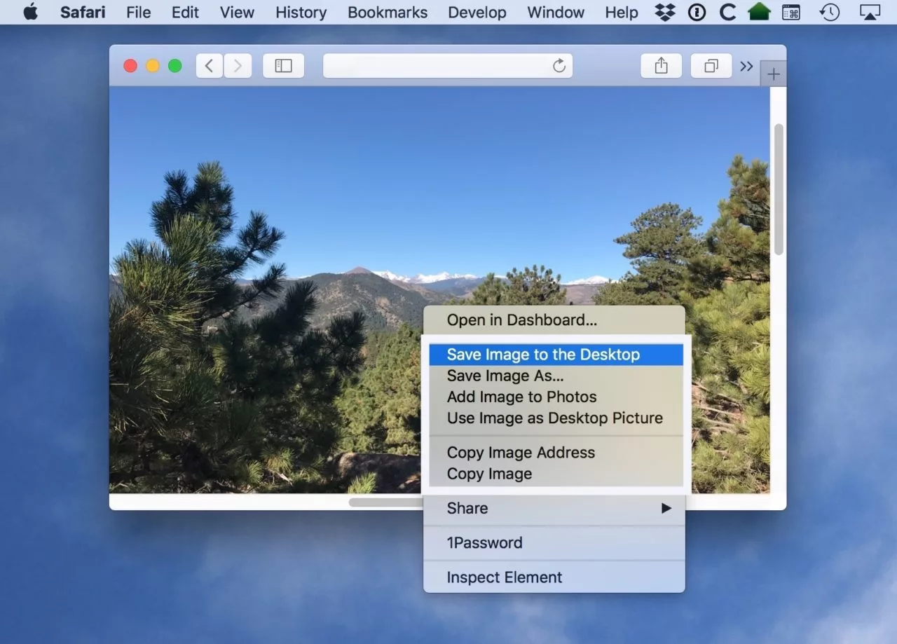 How To Copy Image Address On Mac - DeviceMAG