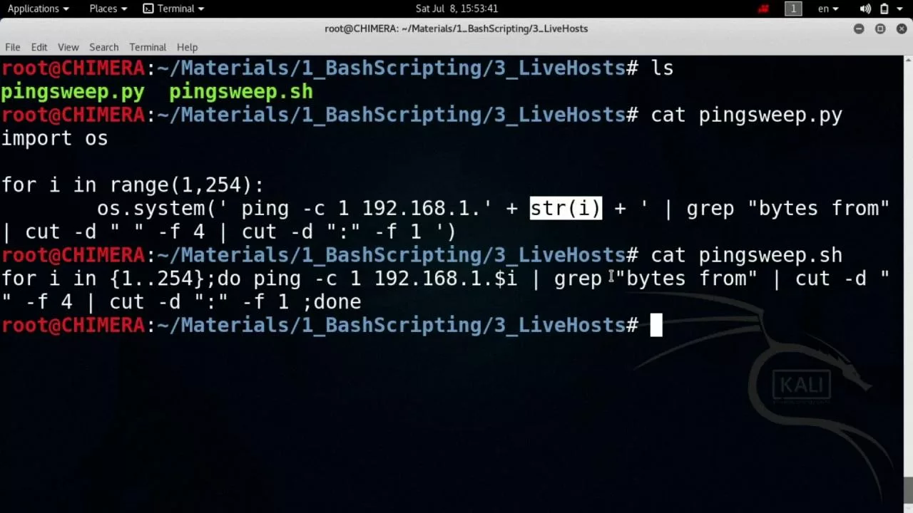 What a Ping Sweep is, How It Works, and Why you Should Use It - DeviceMAG