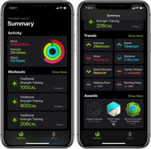 How to Check Weekly Summary Activity App on Your iPhone - DeviceMAG
