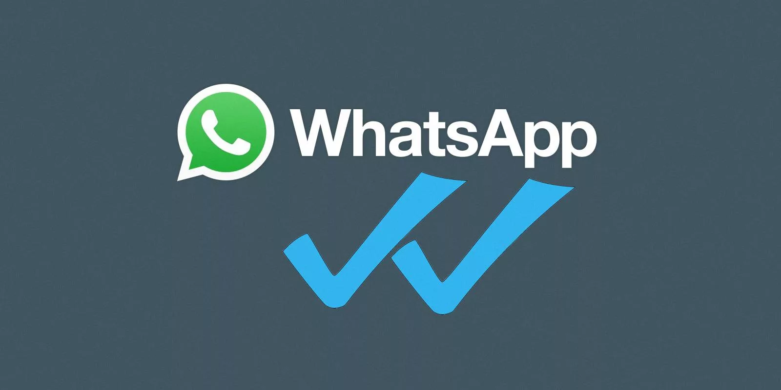 Understanding Blue Check Marks on WhatsApp - DeviceMAG