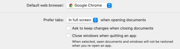 How to Open Safari in Full Screen - DeviceMAG